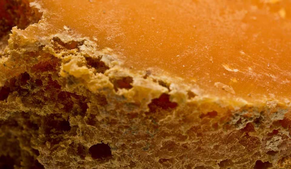 Lice and Mites - Aerobeam Professional Pest Management